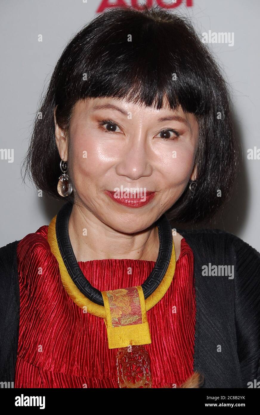 Amy Tan at the AFI FEST 2007 Presents a Screening of "Hollywood Chinese ...