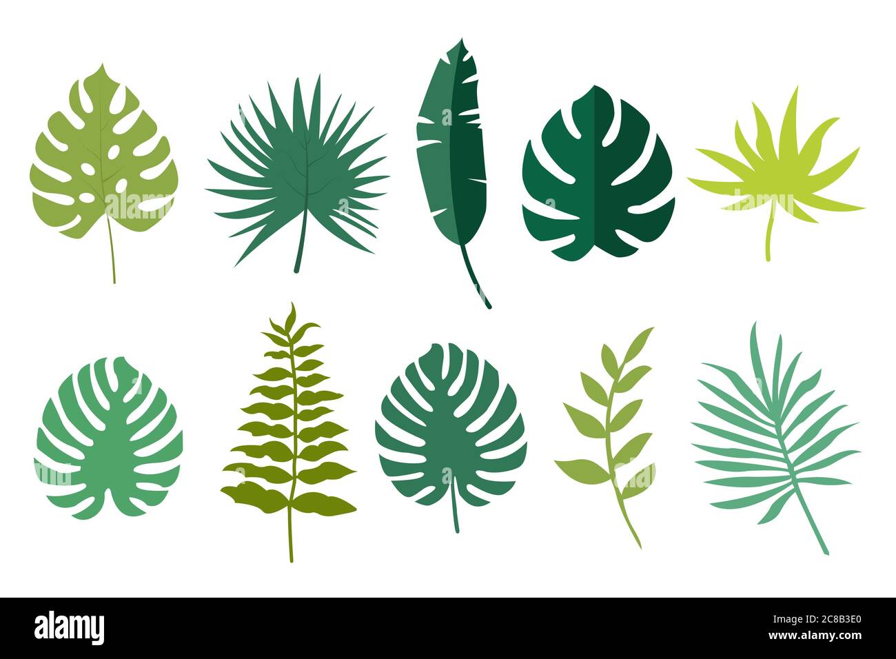 Tropical leaves set. Set of tropical plants. Isolated vector ...