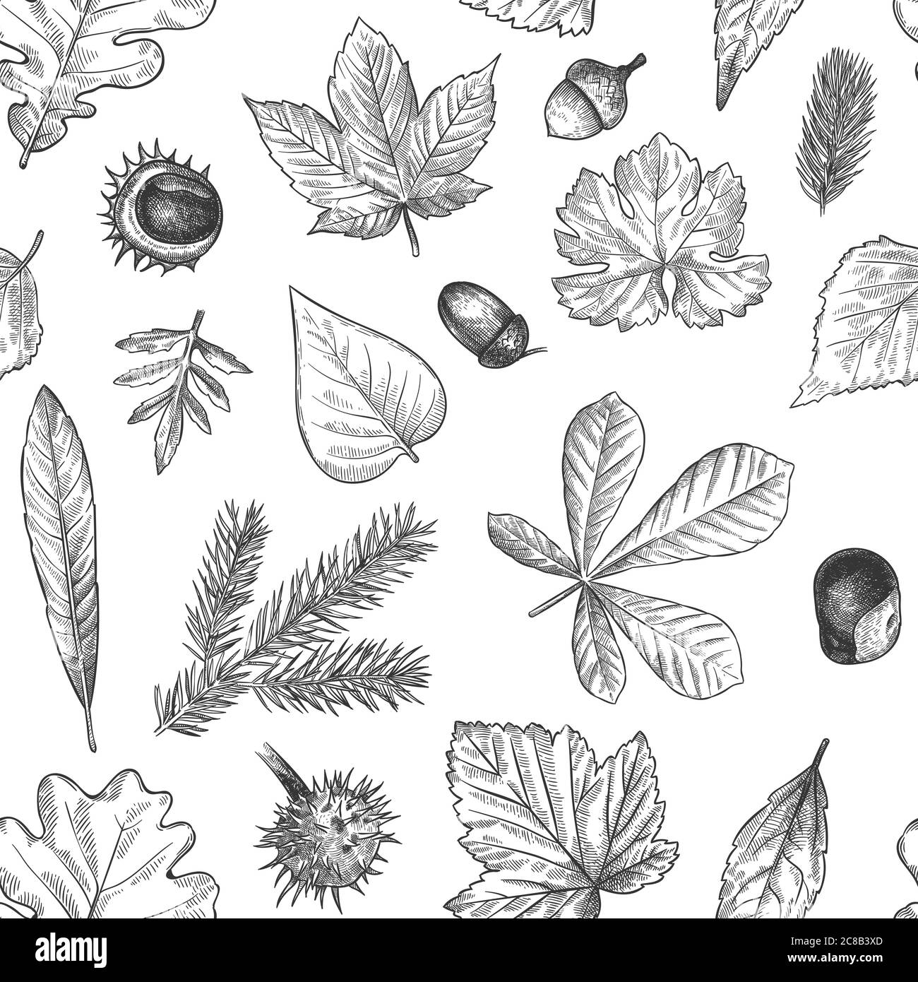 Autumn leaves seamless pattern. Hand drawn fallen leaf, acorns, cones ...