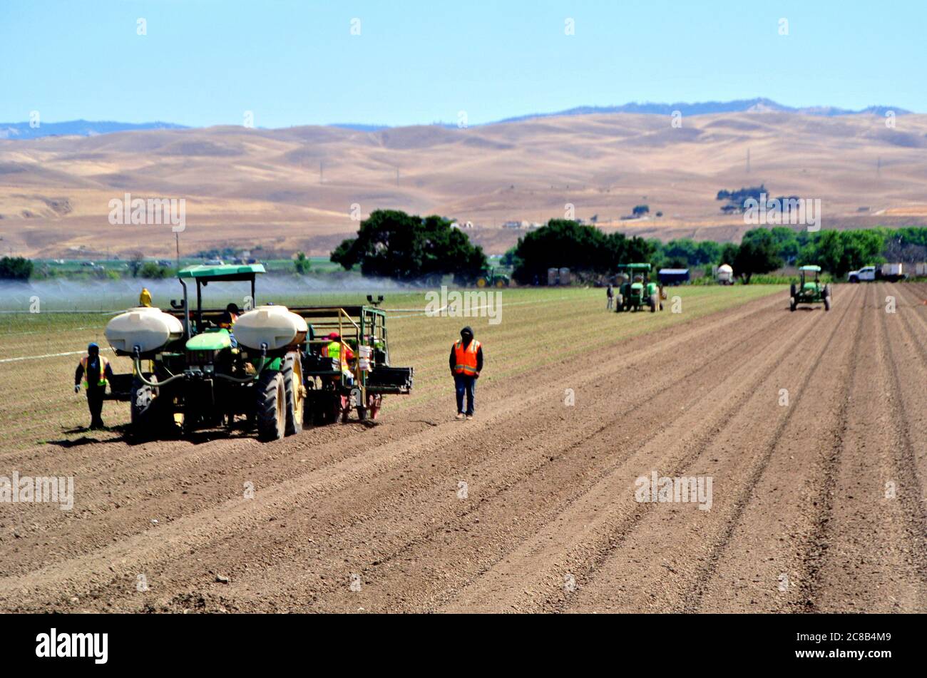 farm workers in salinas california usa Stock Photo - Alamy