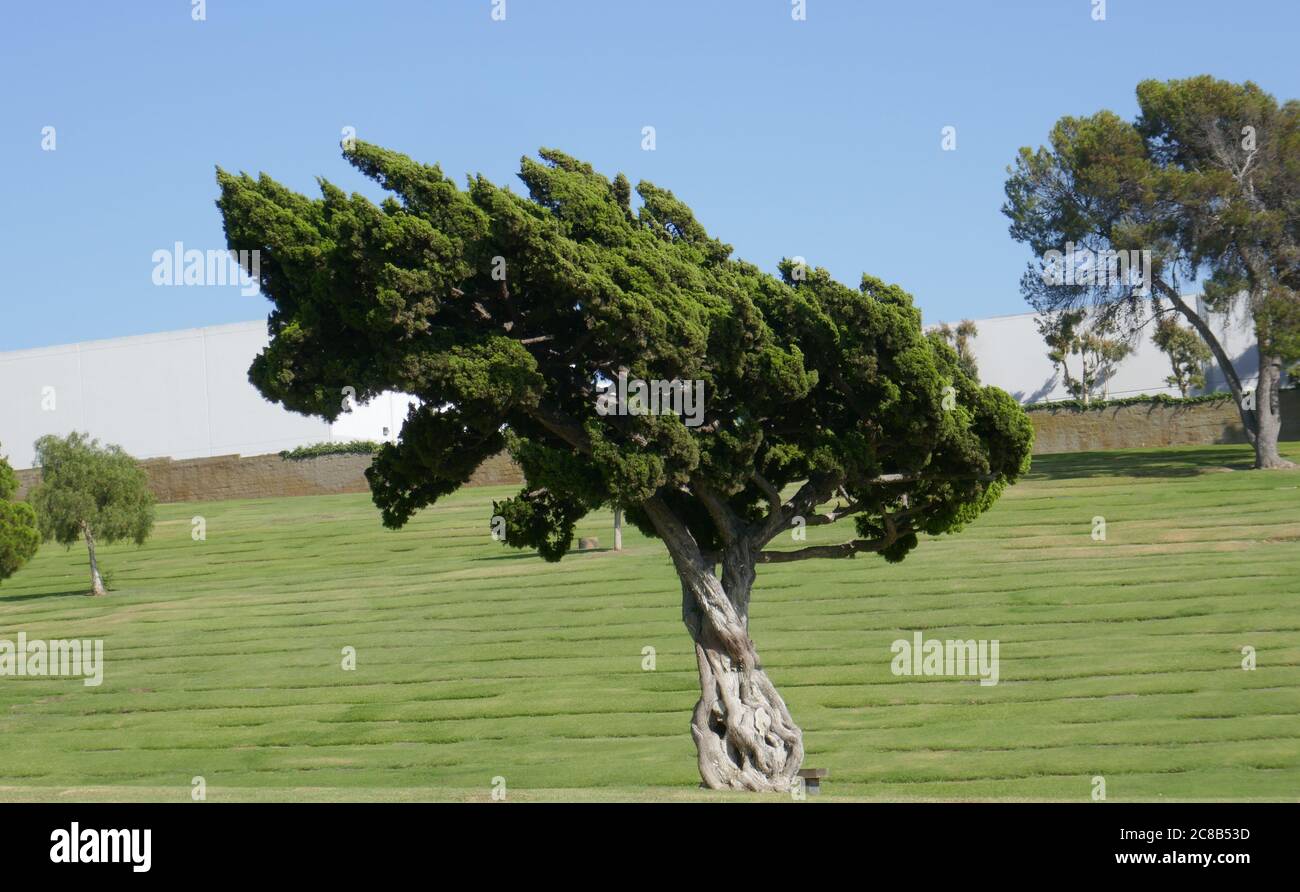 Culver City, California, USA 22nd July 2020 A general view of ...