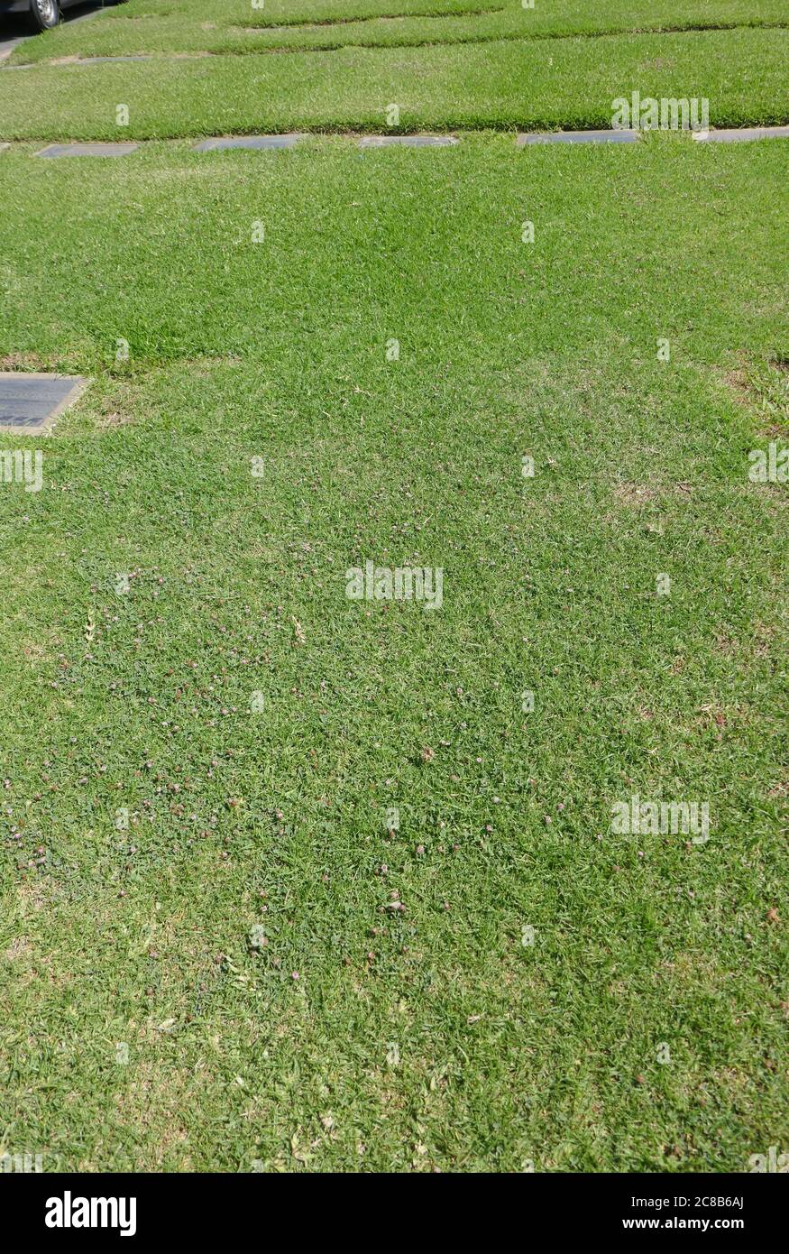 Culver City, California, USA 22nd July 2020 A general view of ...