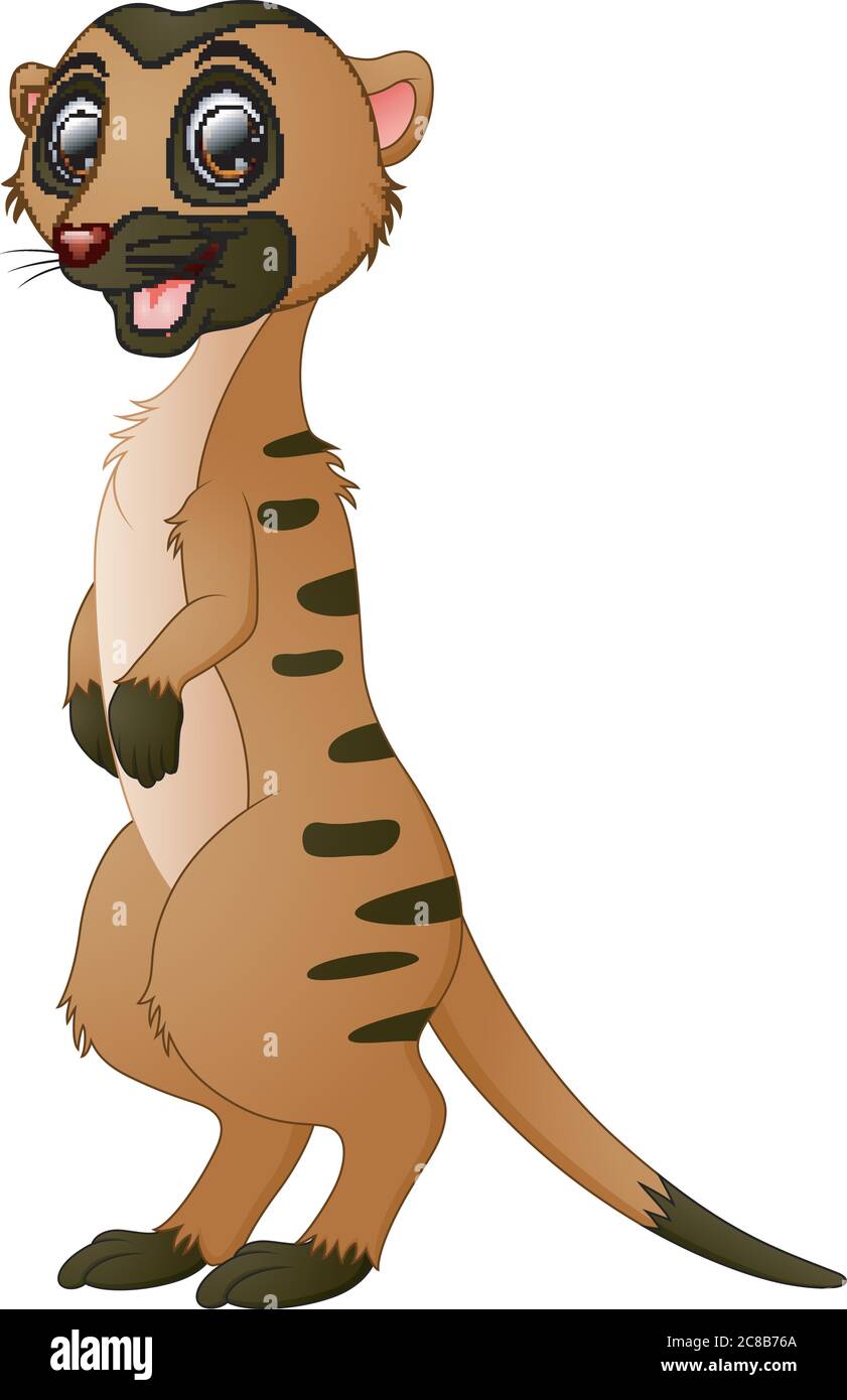 illustration of Cute meerkat cartoon Stock Vector Image & Art - Alamy