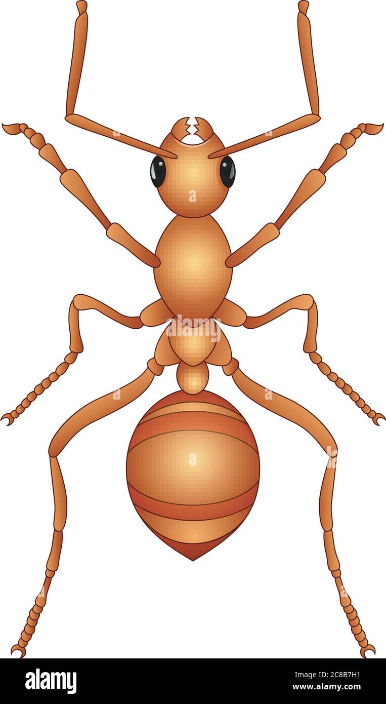 illustration of Cartoon ant isolated a white background Stock Vector ...