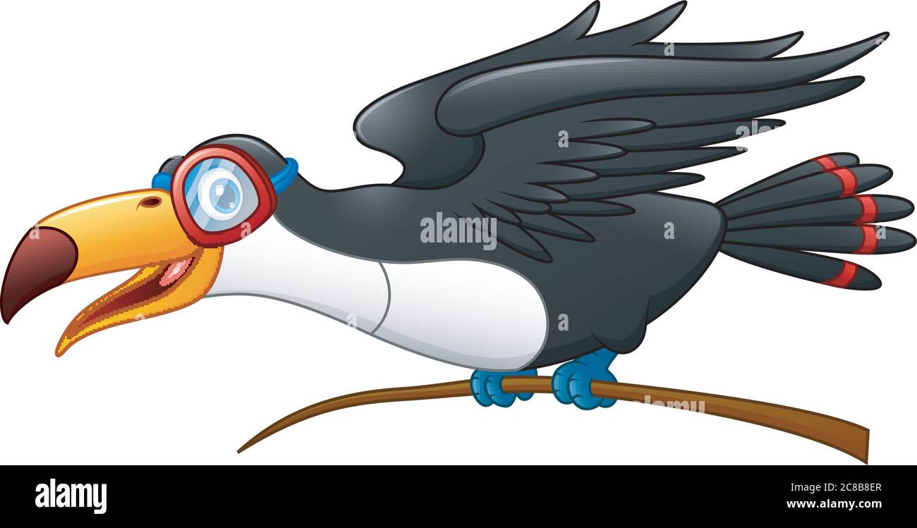 Funny toucan cartoon character Stock Vector Image & Art - Alamy