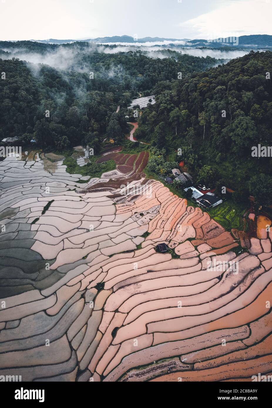 Rice fields Water in rice fields before planting in the rainy season ...