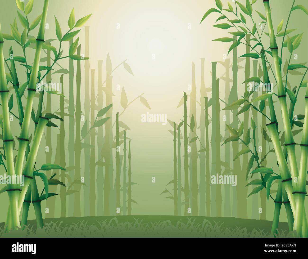 Trees in forest morning Stock Vector Images - Alamy
