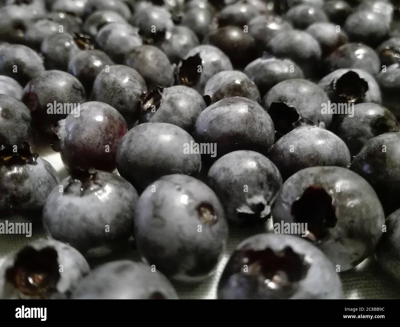 Oregon fruit blueberries hi-res stock photography and images - Alamy