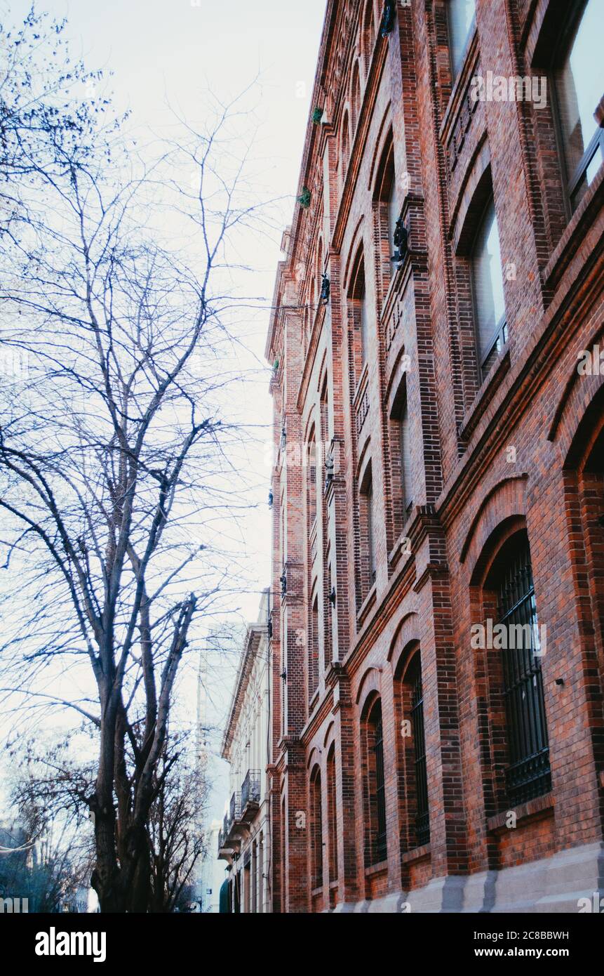 Vertical side view of an old residential buildings with tree branches ...