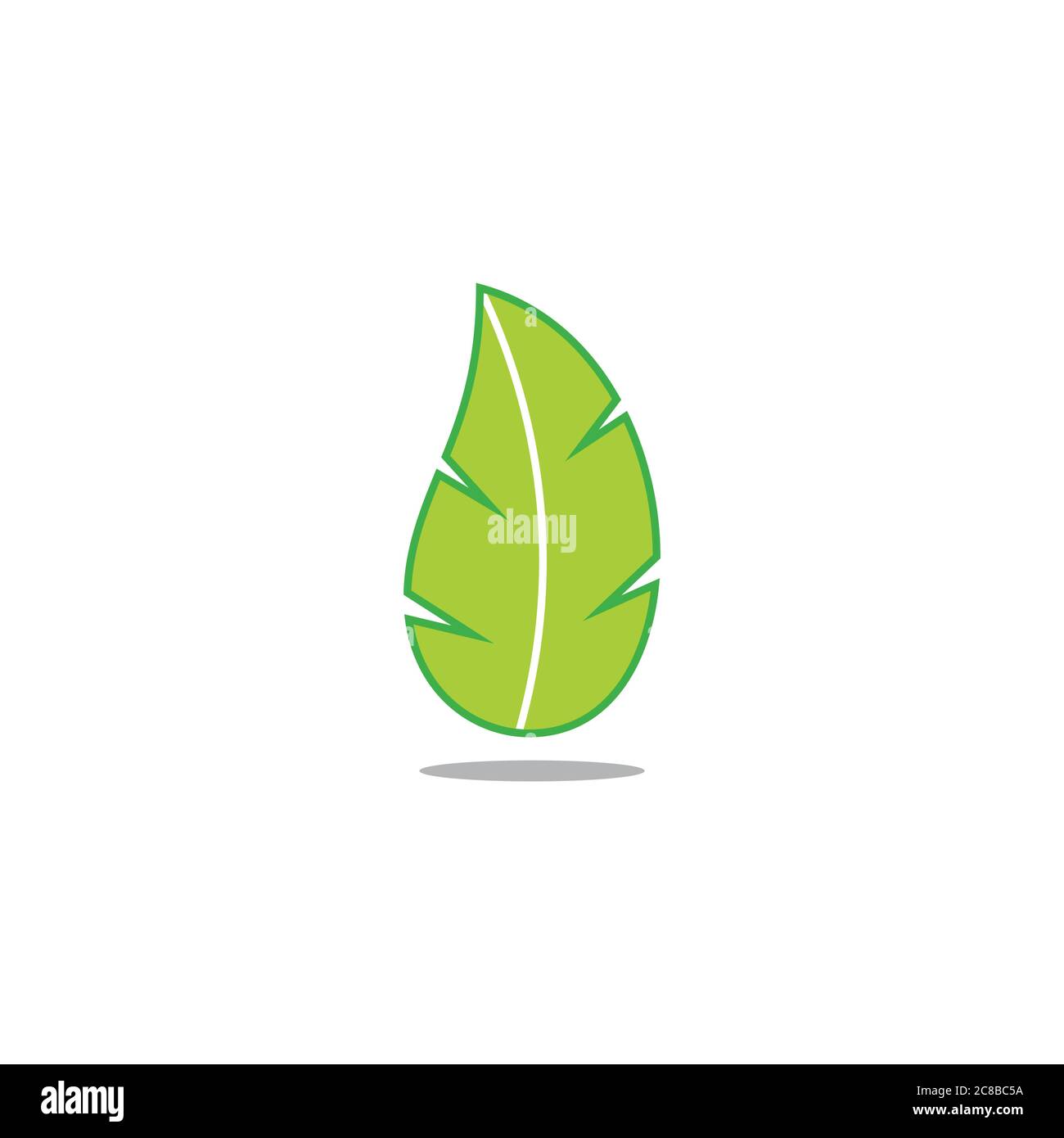Single Green Leaf Vector