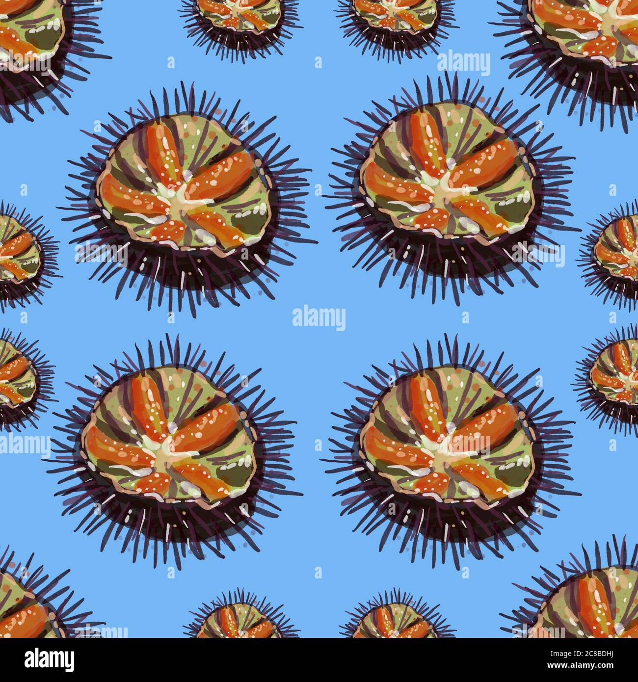 animated pattern of sea urchins, ideal footage for themes such as ...