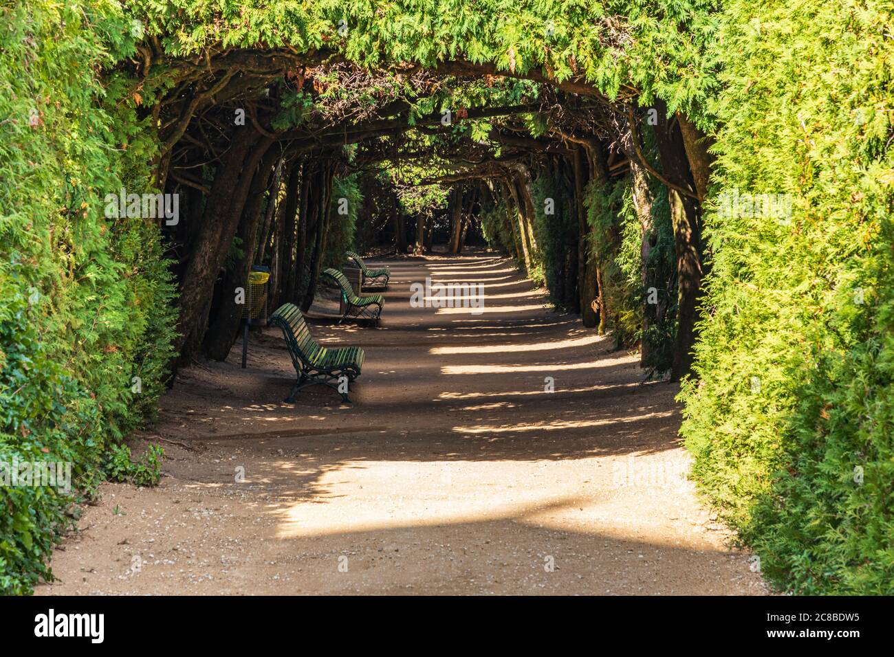 Europe, France, Dordogne, Hautefort. Sept. 6, 2019. Arched hedge ...