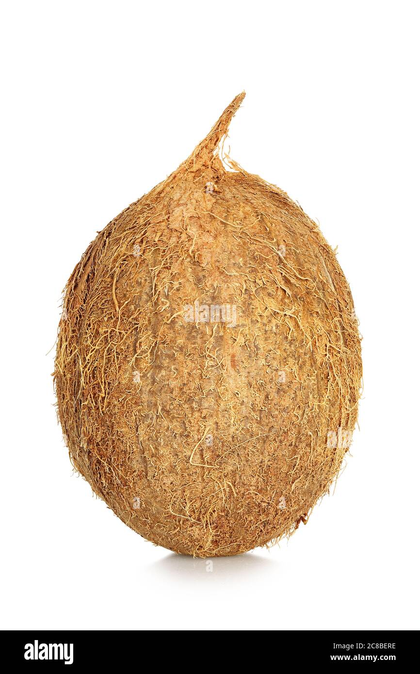 Whole coconut hi-res stock photography and images - Alamy