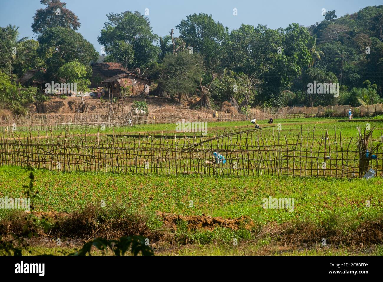 Indian teamwork hi-res stock photography and images - Alamy