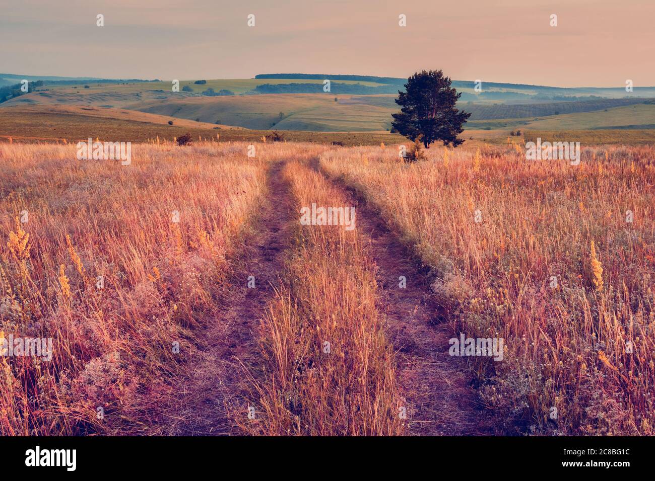 Panoramic landscape of central Russia agricultural countryside with ...