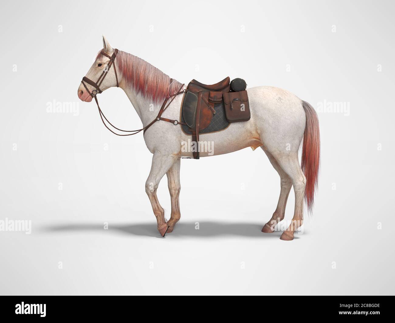 White horse with bridle left view 3d render on gray background with ...