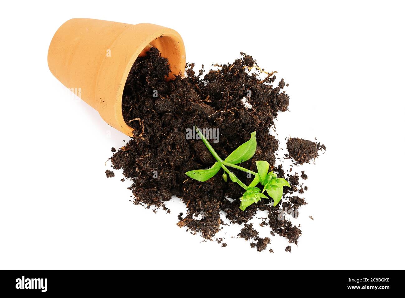 flower pot with spilled out soil isolated, damage concept Stock Photo ...