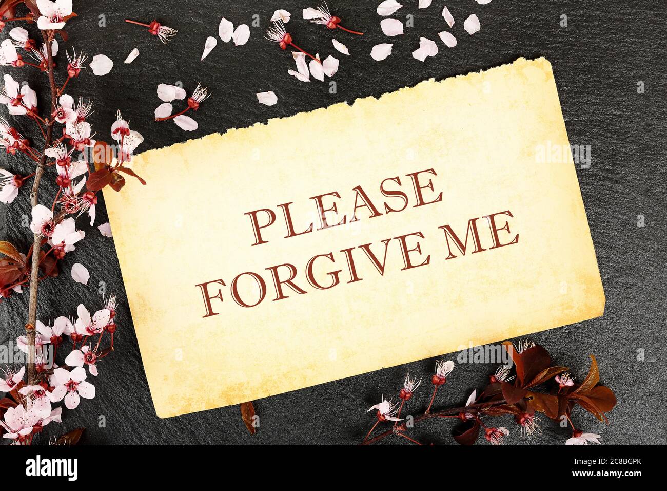Apology note flowers hi-res stock photography and images - Alamy