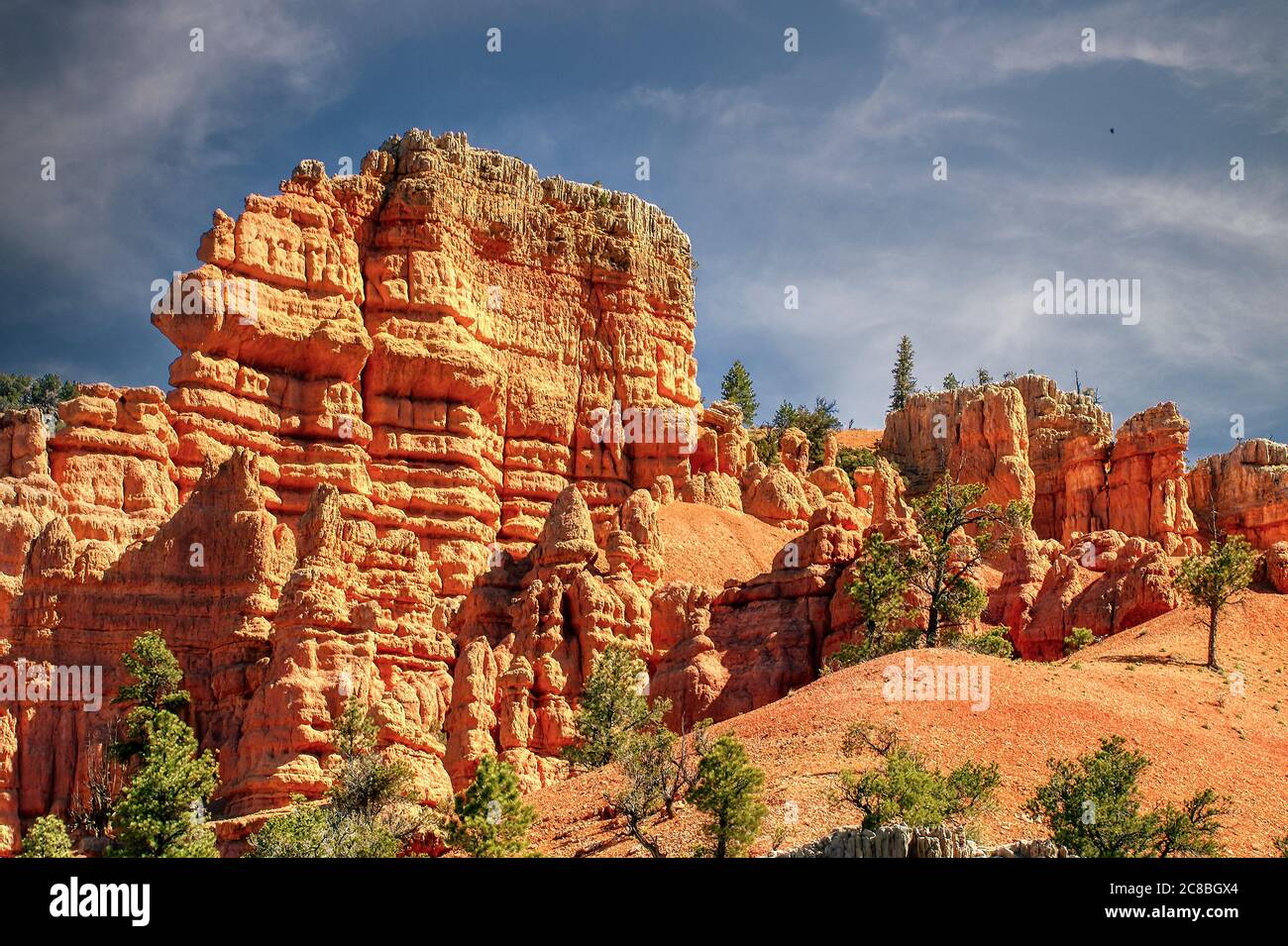 Discover the unique wildlife and incredible views of Dixie National ...