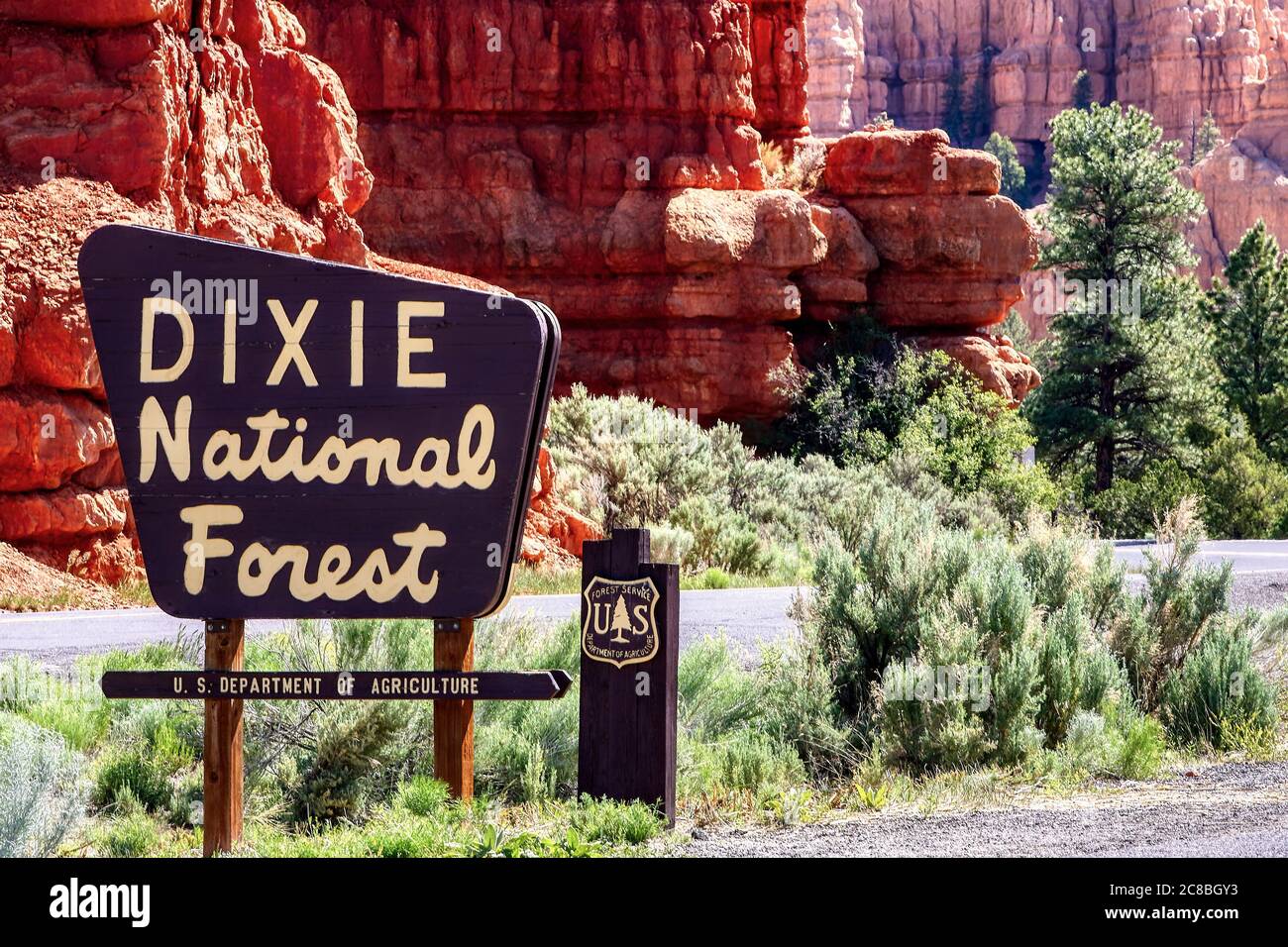 Discover the unique wildlife and incredible views of Dixie National ...