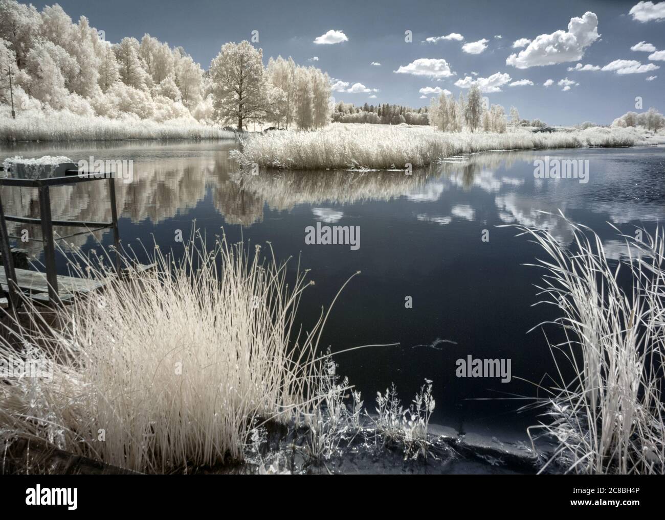 sunny summer landscape, infrared photo snowy tree amazing nature lake ...