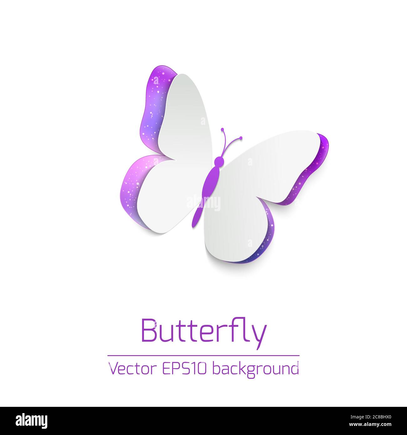 Vector background card with paper butterfly on white background Stock ...