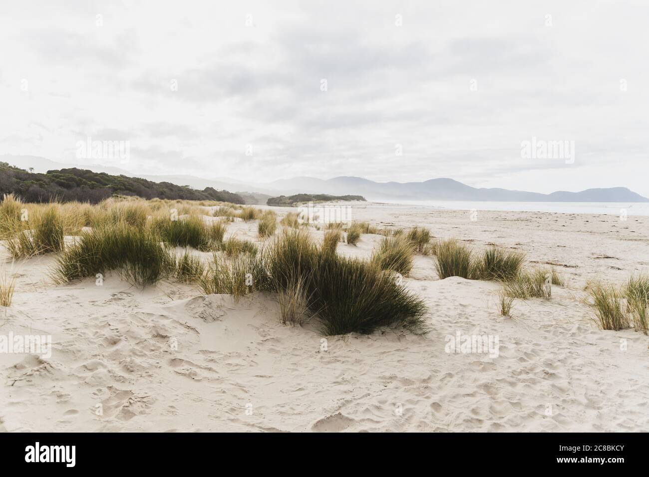 pristine untouched Australian beach in Marion Bay in Tasmania with no ...