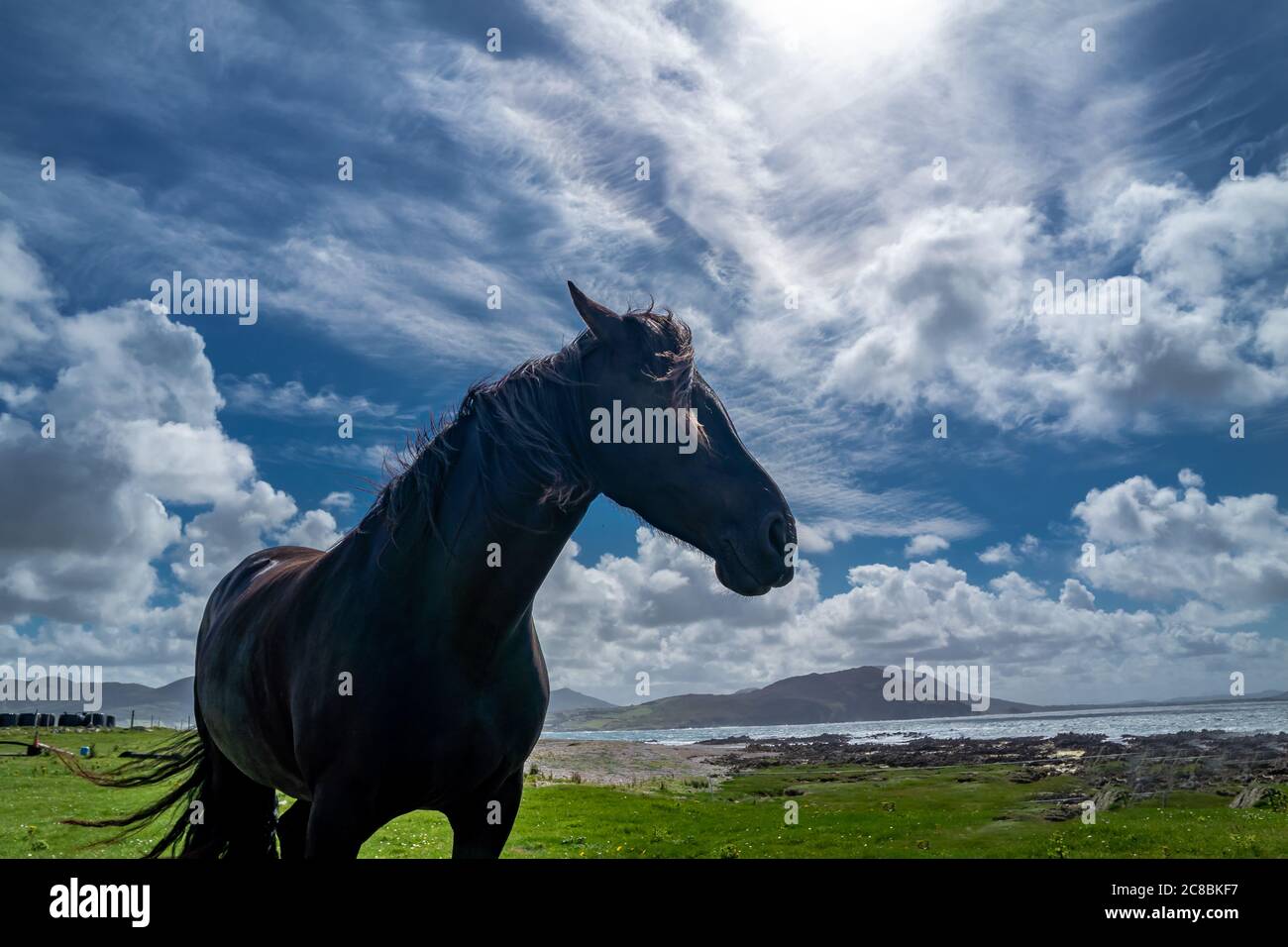 Irish Countryside view with black horse in County Donegal Stock Photo ...