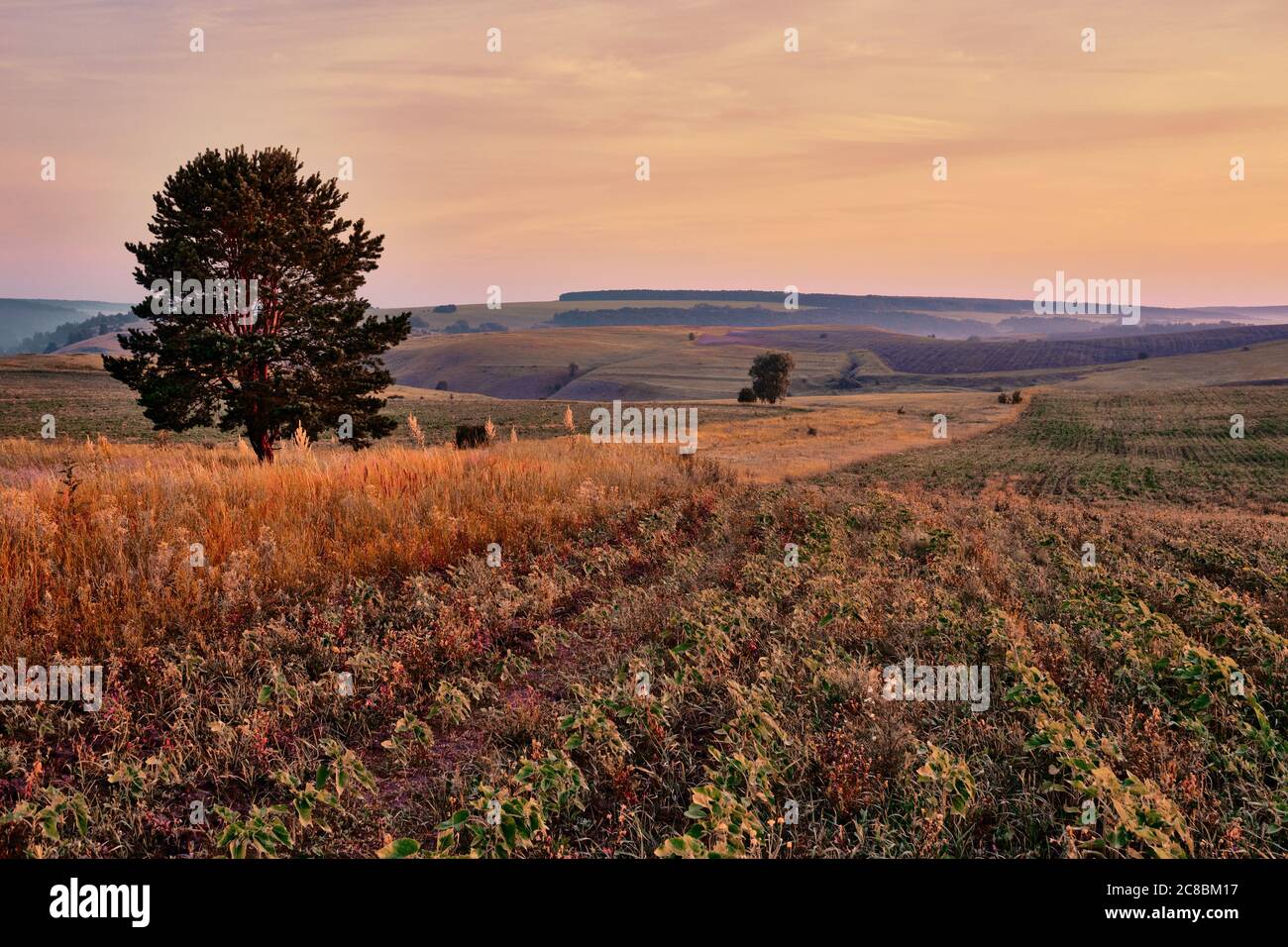 Panoramic landscape of central Russia agricultural countryside with ...