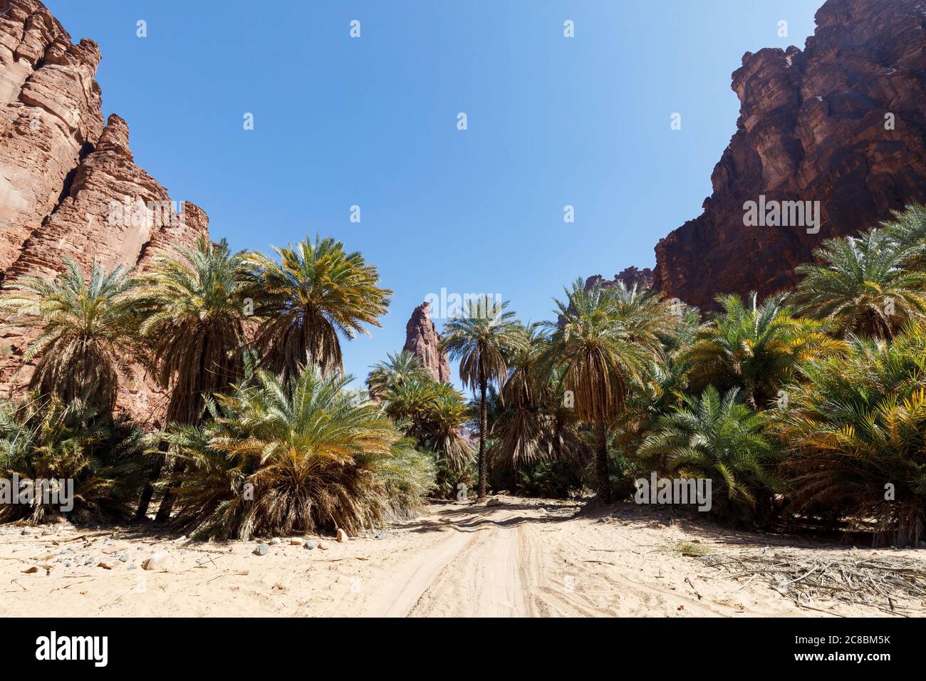 Wadi saudi arabia hi-res stock photography and images - Alamy