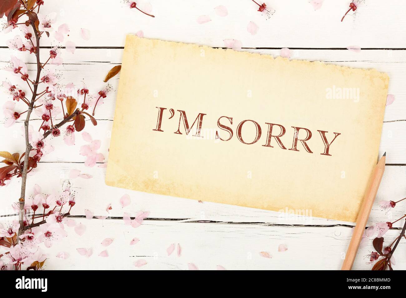 Apology note flowers hi-res stock photography and images - Alamy