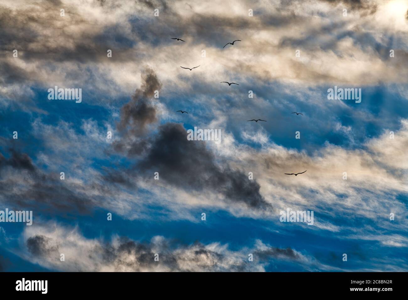 Birds Fly Into the Colorful Vibrant Sunset Clouds as Sun Rays Emanate ...