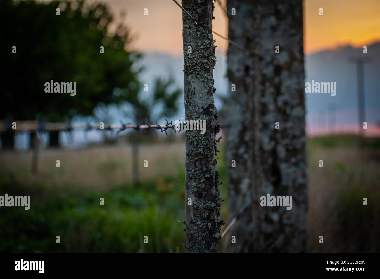 White metal columns hi-res stock photography and images - Alamy