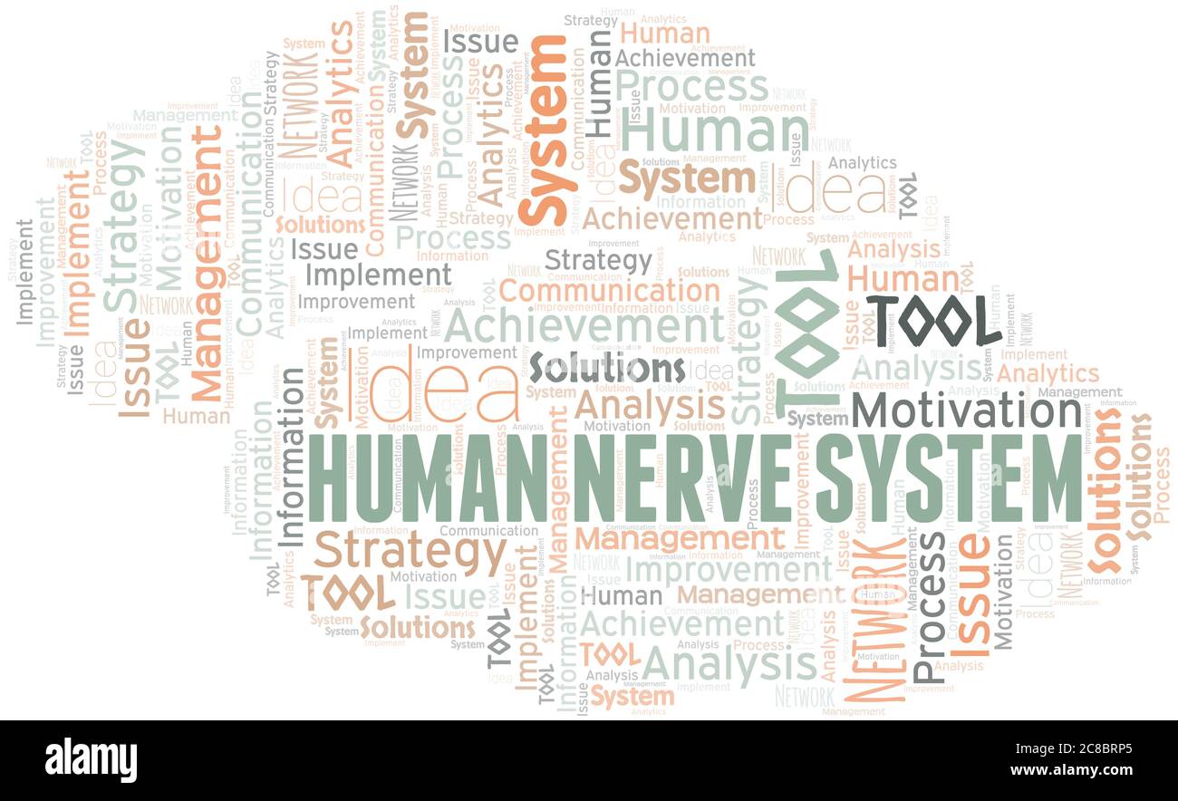 Human Nerve System typography vector word cloud. Wordcloud collage made ...
