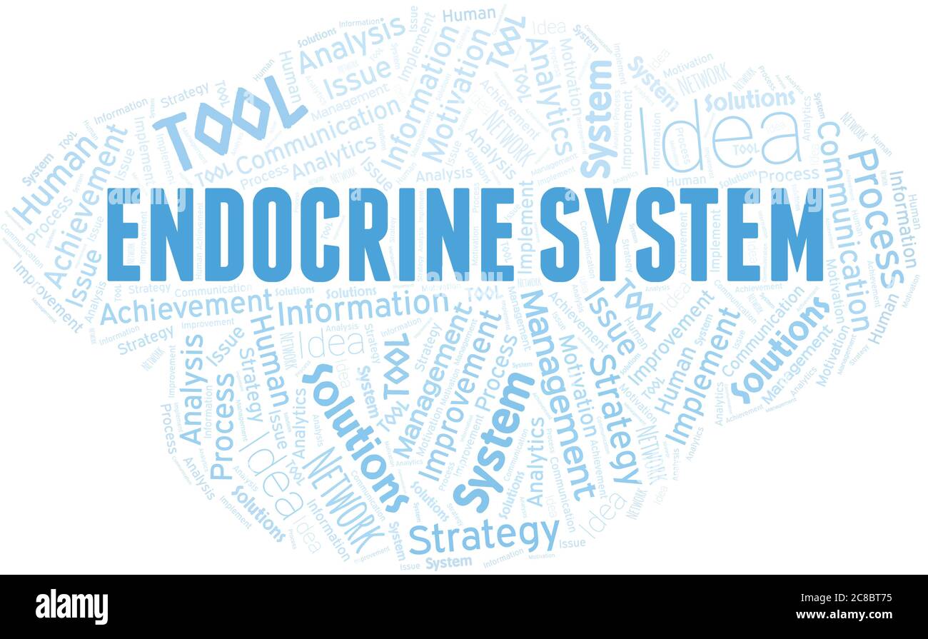 Endocrine System typography vector word cloud. Wordcloud collage made ...