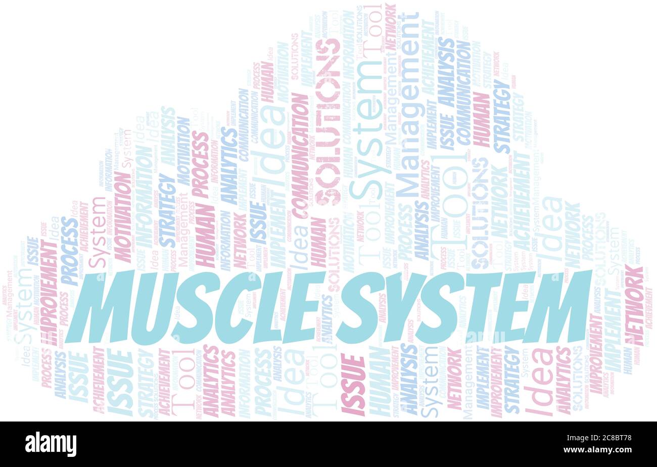 Muscle System typography vector word cloud. Wordcloud collage made with ...