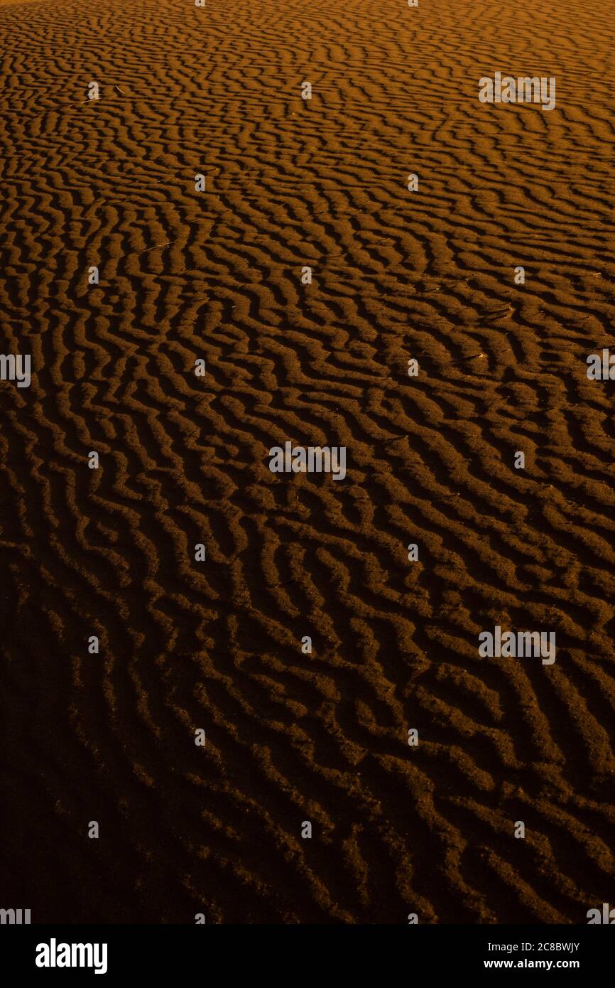 Visit sahara hi-res stock photography and images - Alamy