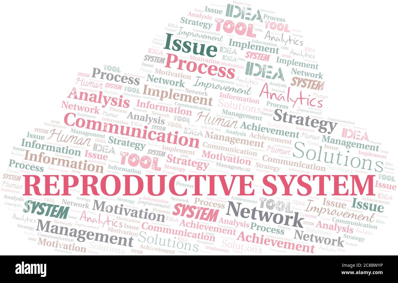 Reproductive System typography vector word cloud. Wordcloud collage ...