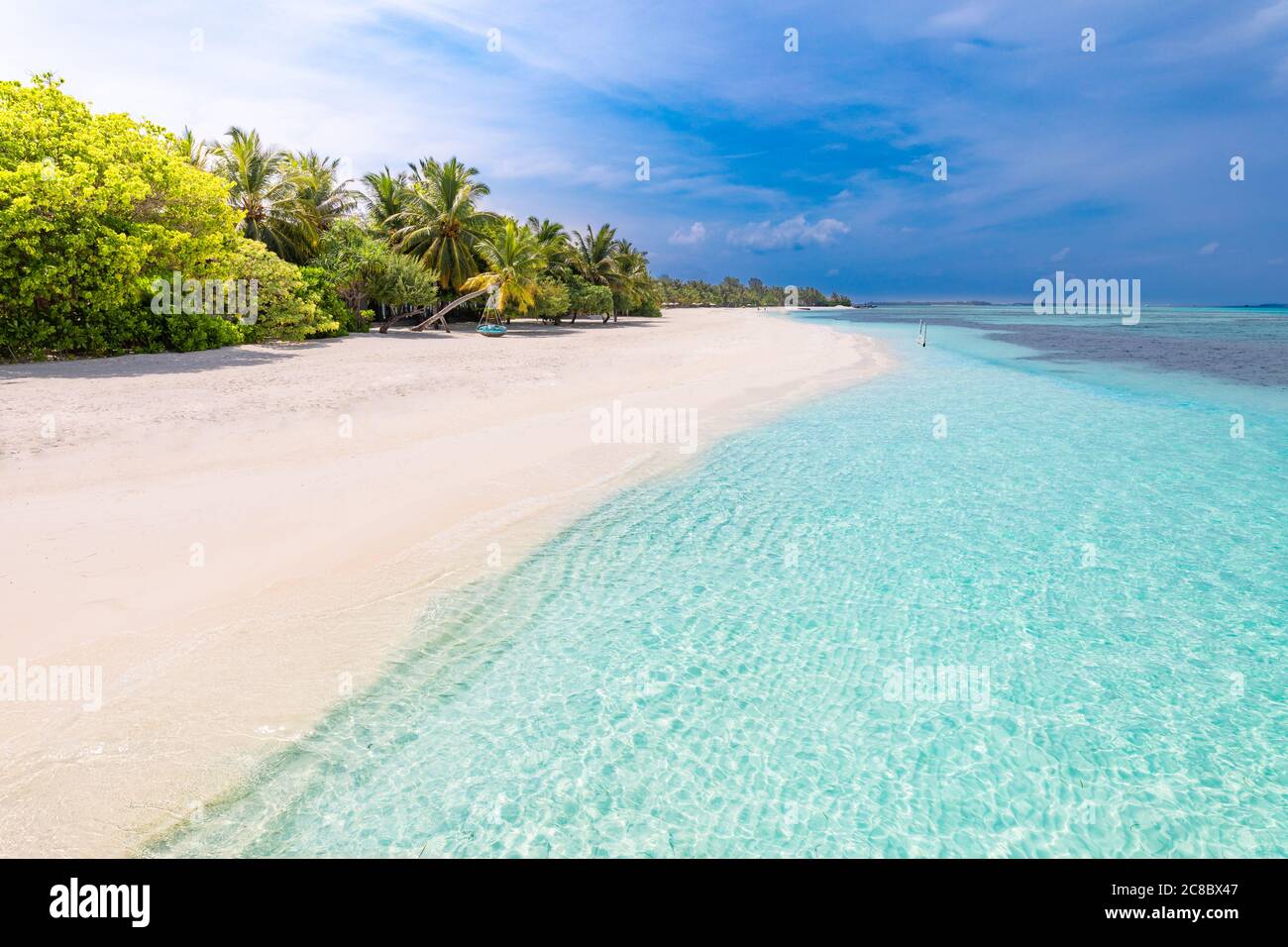 Beautiful tropical beach landscape banner. White sand and coco palms ...