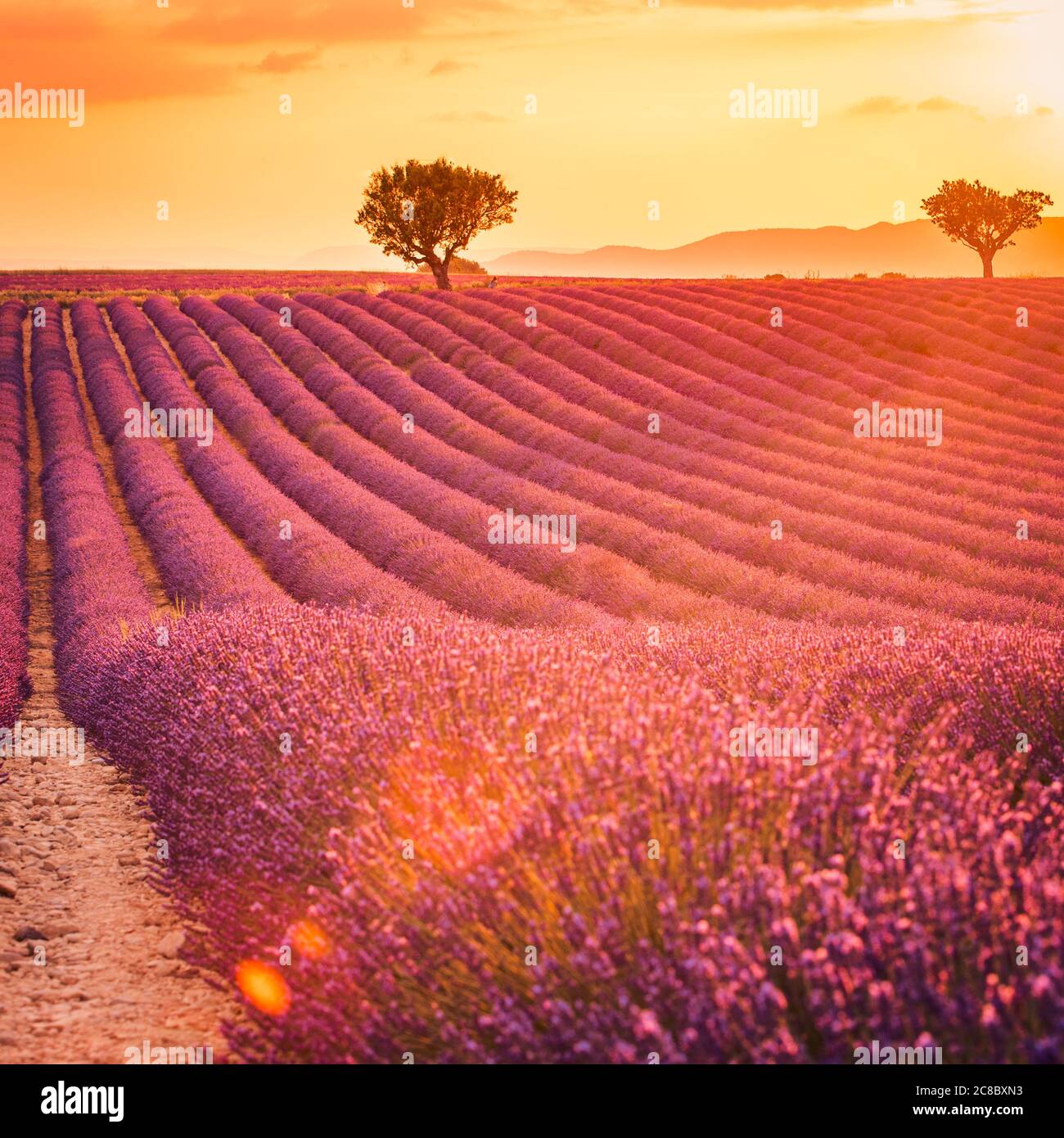 Summer mood hi-res stock photography and images - Alamy