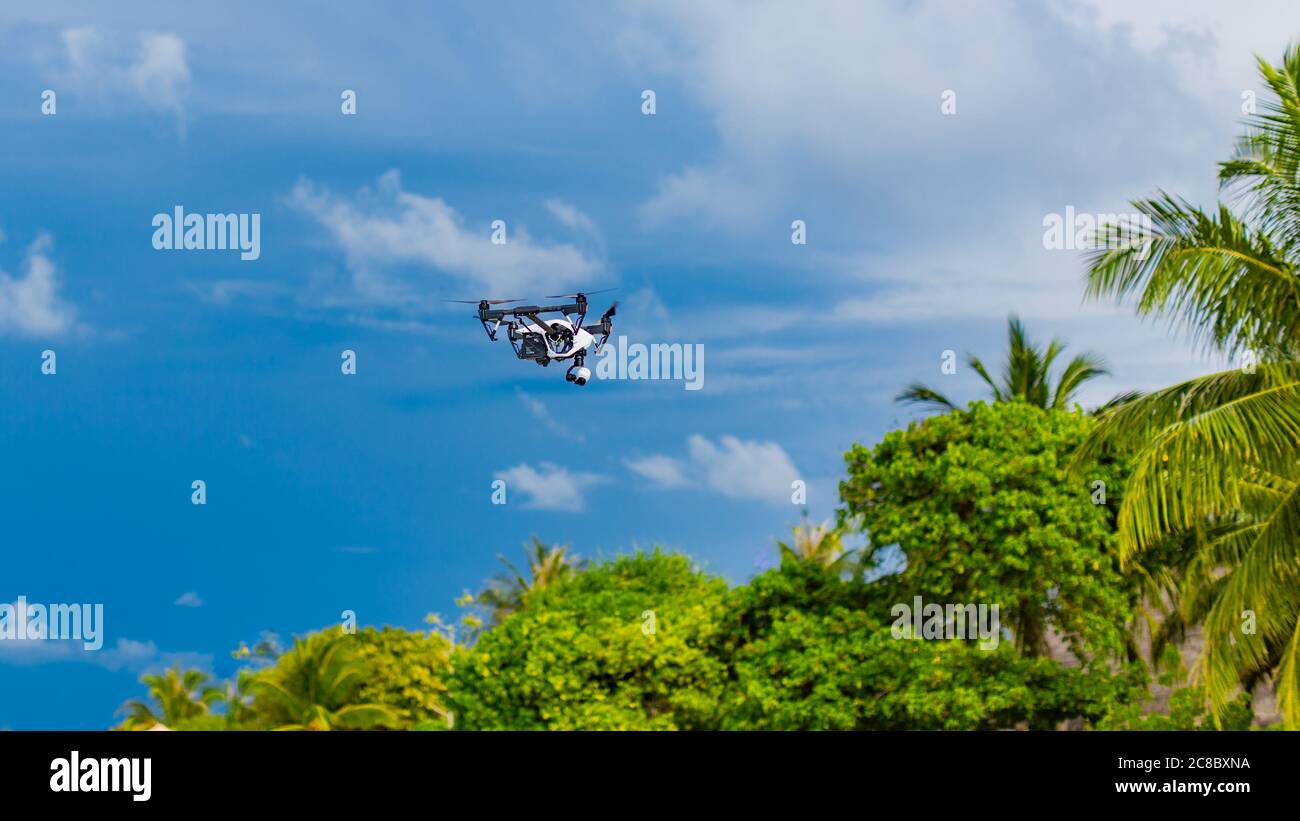 Drone flying over sea coast and palm trees. Tropical footage or photo ...