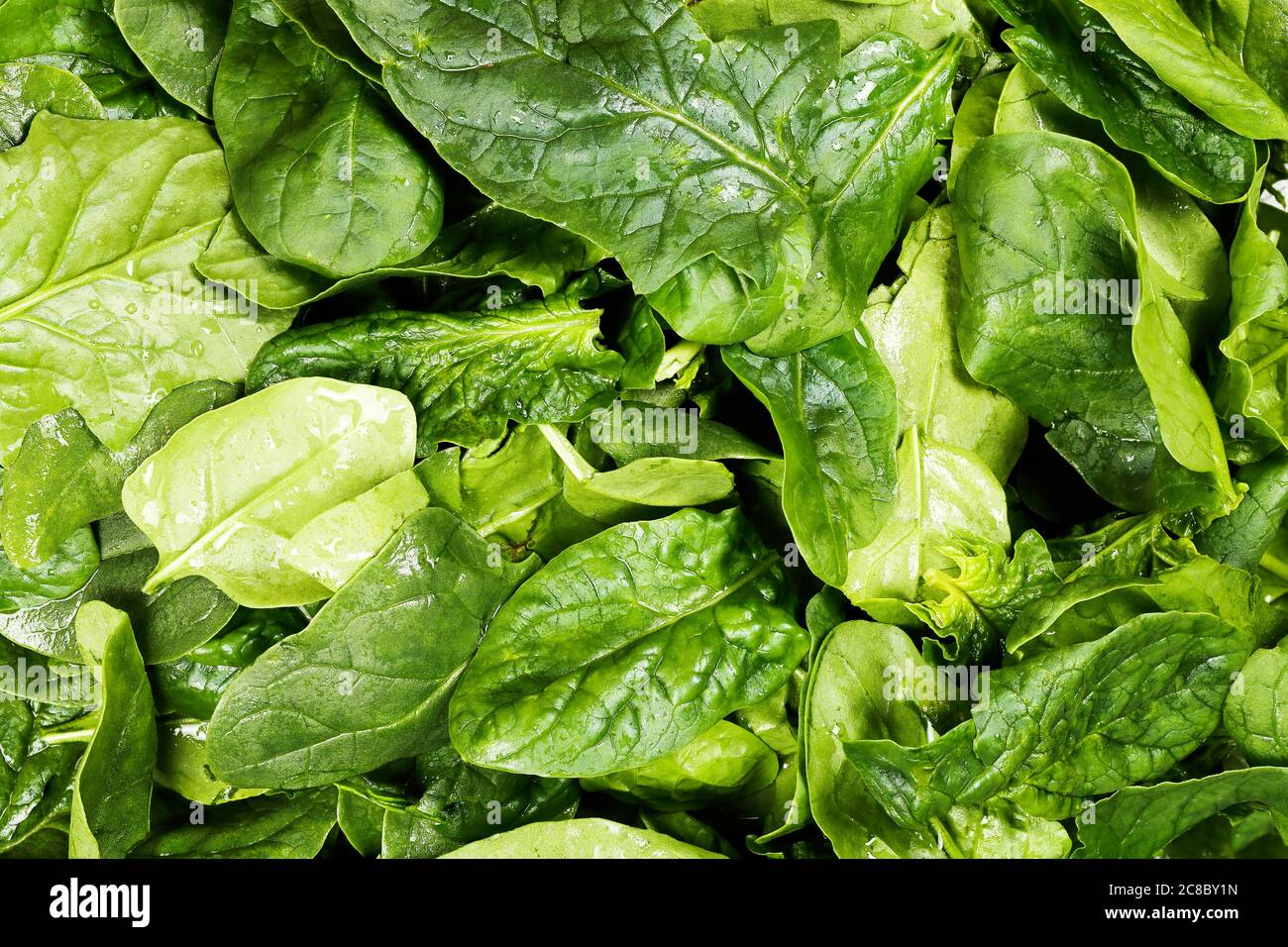Washed spinach leaves hi-res stock photography and images - Alamy