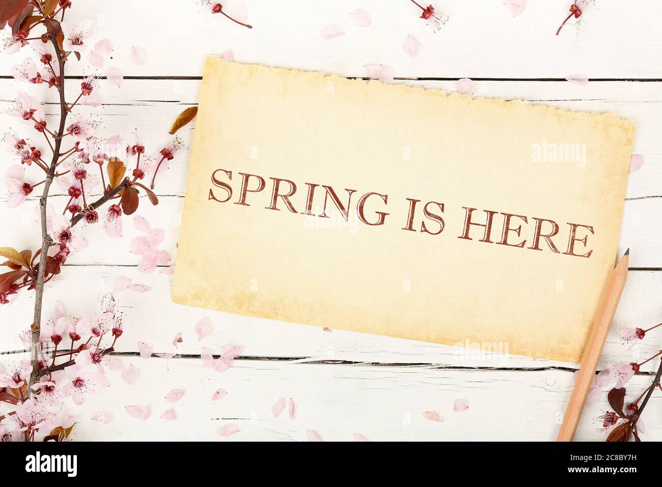Word spring written flowers hi-res stock photography and images - Alamy