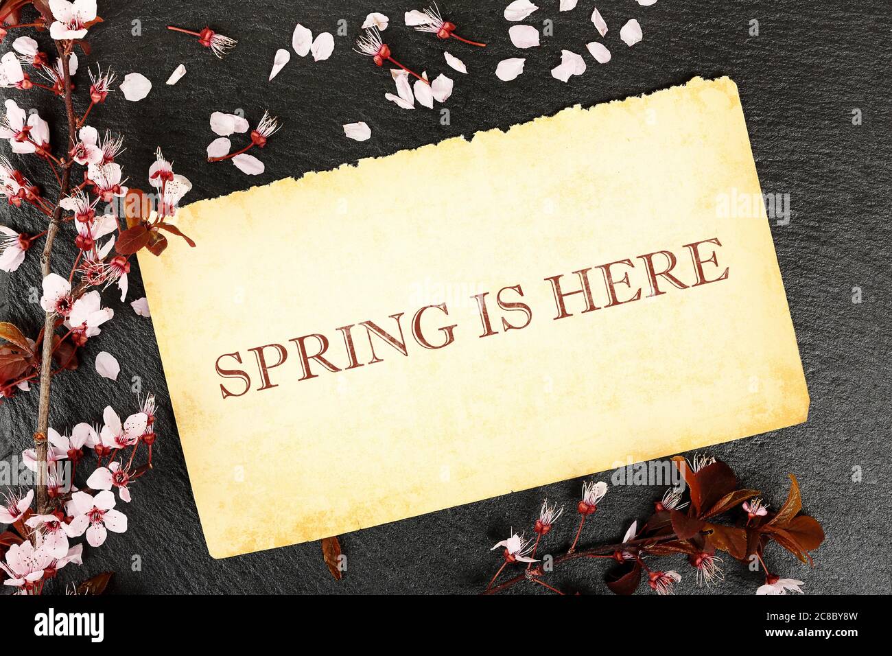 Word spring written flowers hi-res stock photography and images - Alamy
