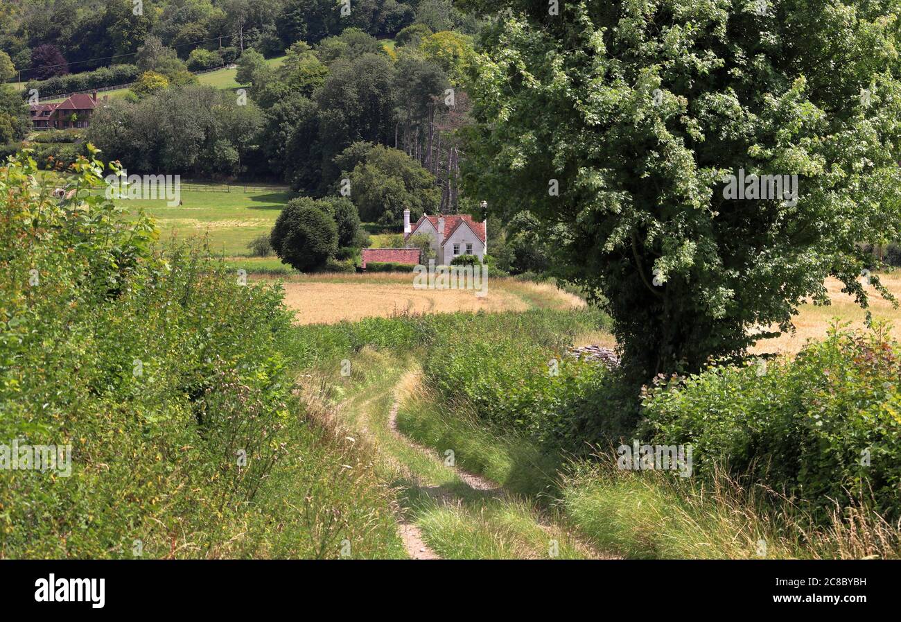 An English Rural Landscape with field of golden wheat stubble and house ...
