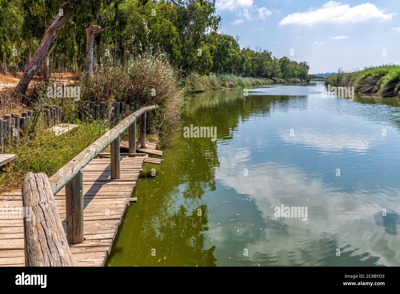 Pier on the Alexander River in Israel with eucalyptus trees along the ...