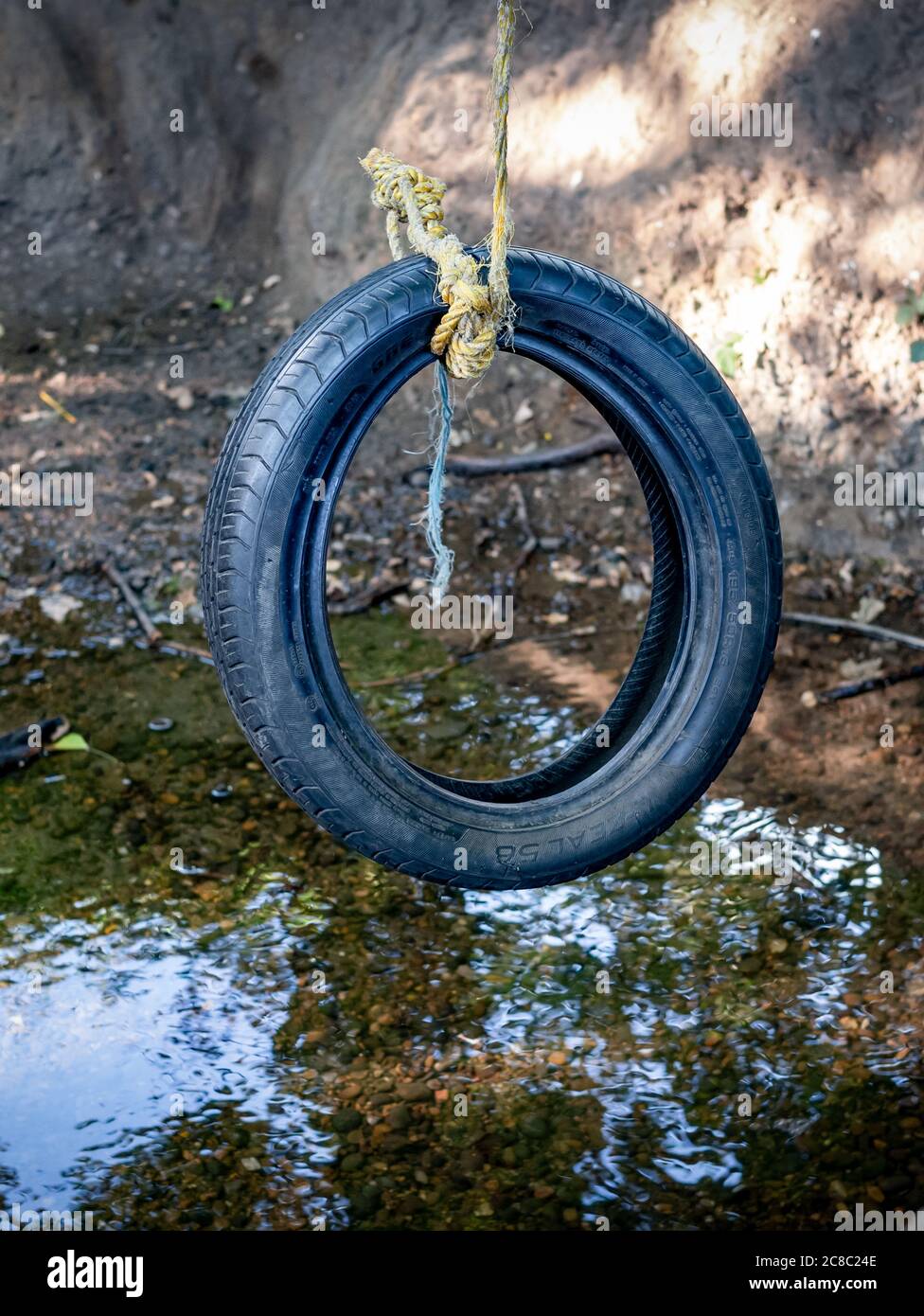 Tyre rope swing above a small stream in the woods Stock Photo - Alamy