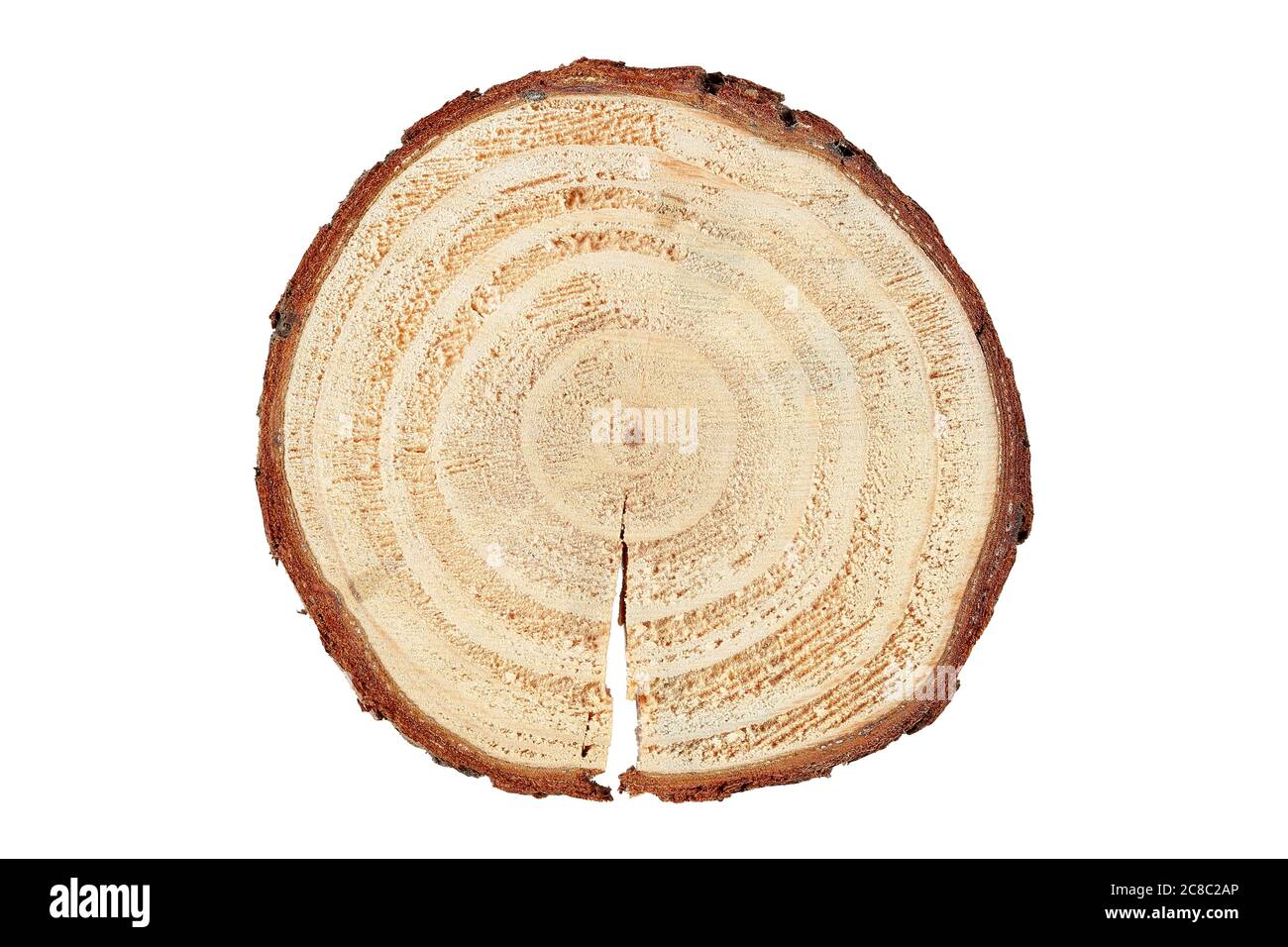 Sliced wood log hi-res stock photography and images - Alamy