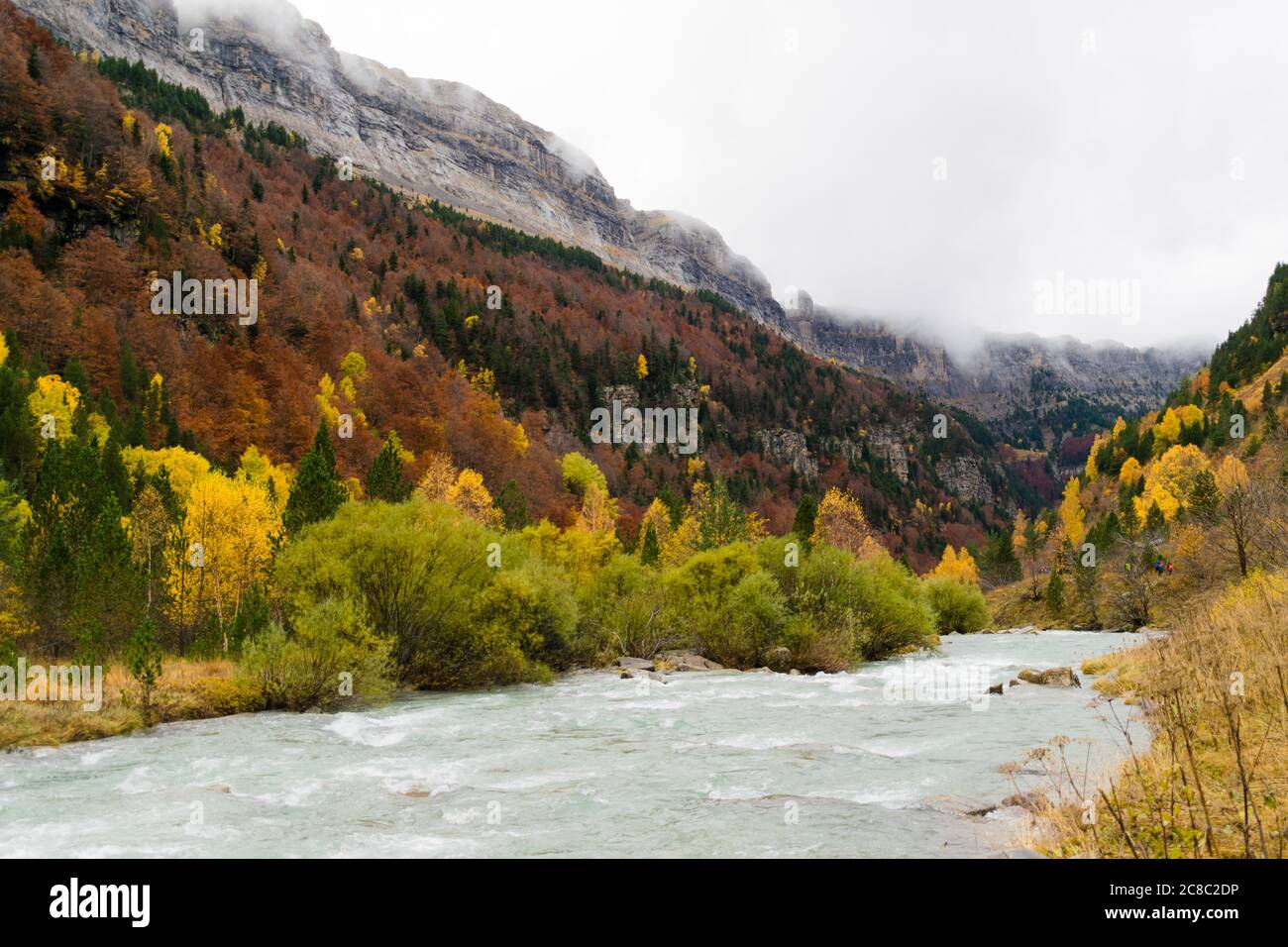 Wide view calm forest river hi-res stock photography and images - Alamy