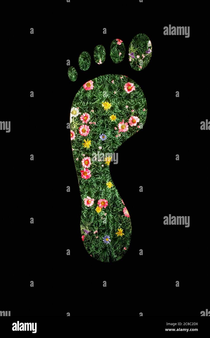 Carbon Footprint concept of green plant footprint Stock Photo - Alamy